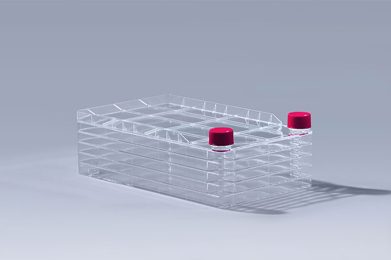 How to detect mycoplasma contamination when culturing cells in the cell ...
