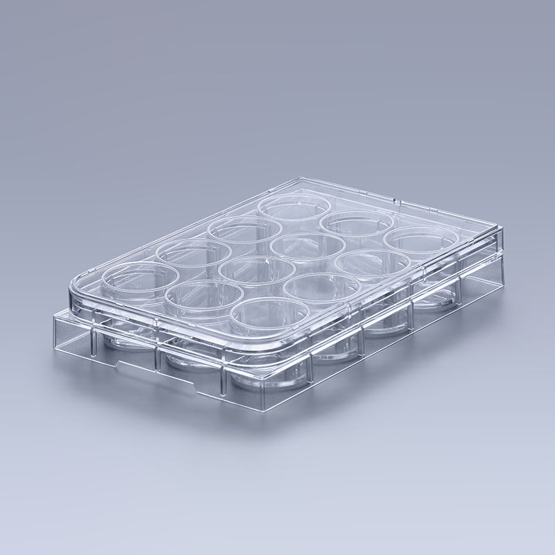 The Role of Numeric Coding on Cell Culture Plates - FuDau